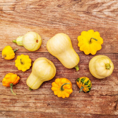 9 Amazing Squash Recipes You’ll Love in Under 30 Minutes!