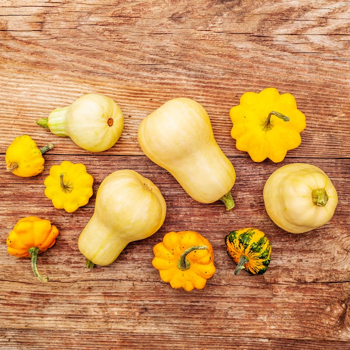 9 Amazing Squash Recipes You’ll Love in Under 30 Minutes!