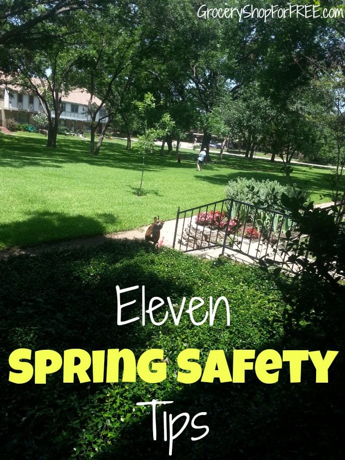 11 Spring Safety Tips